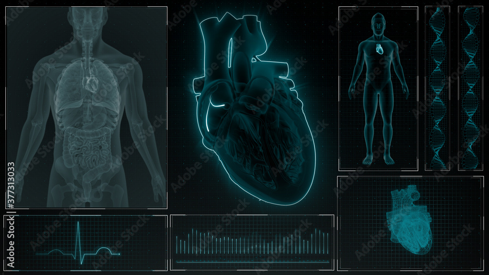 SA Node signals of human half heart 3d illustration Stock Illustration ...