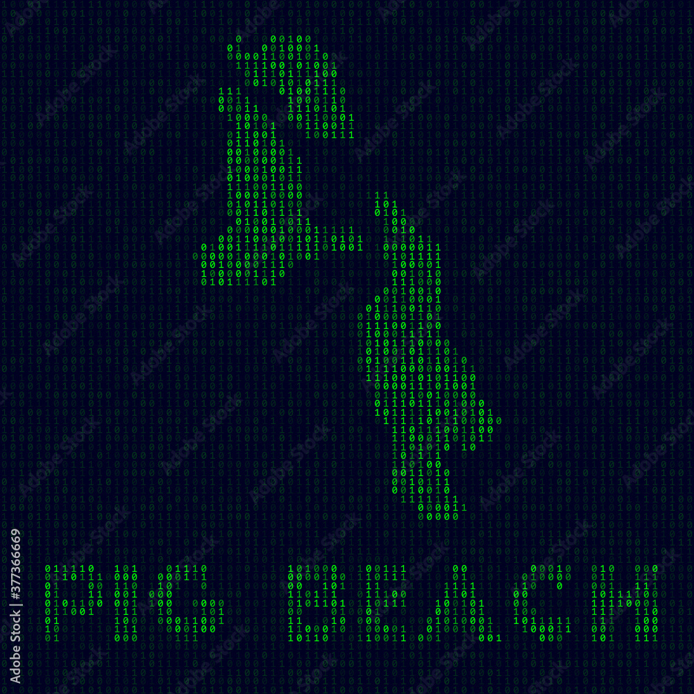 Digital Pig Beach logo. Island symbol in hacker style. Binary code map ...
