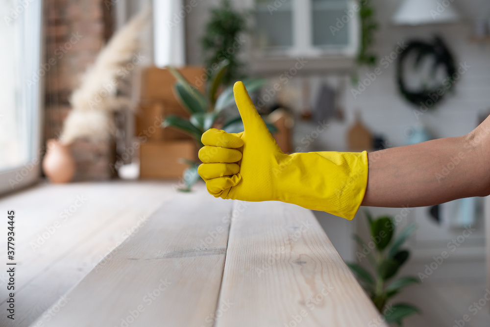 Cleaning service, housekeeping. Hygiene and cleanliness. A hand with a ...