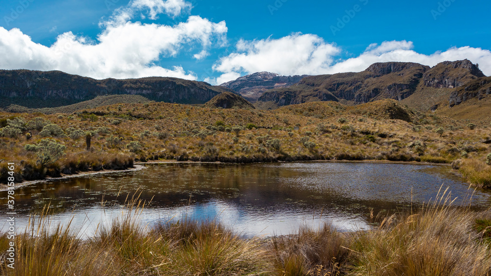Landscape in Los Nevados National Natural Park in Colombia. Nevado de ...