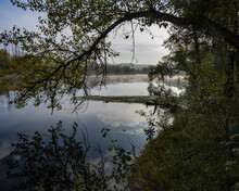 Tree Branches Hanging Over A River Free Stock Photo - Public Domain ...