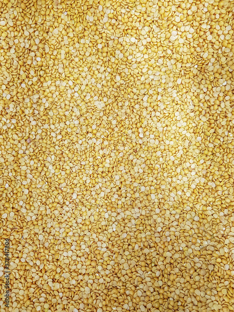 petite yellow mung lentil raw uncooked beans moong dal close up ...