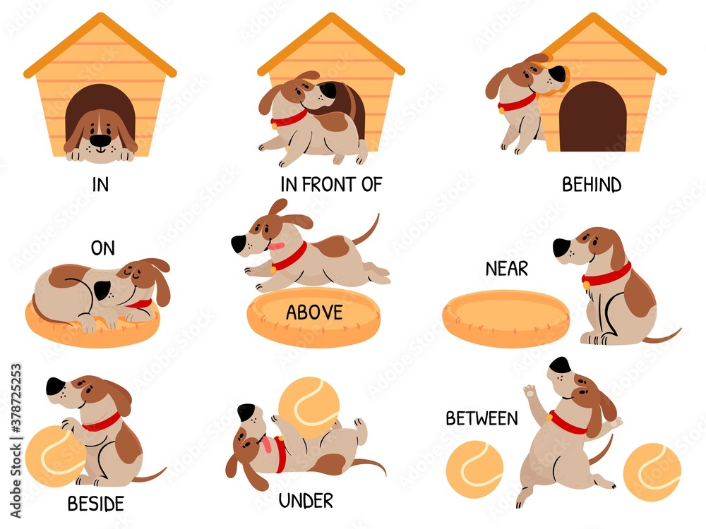 English prepositions with cute animal. Cartoon dog behind, above, near ...