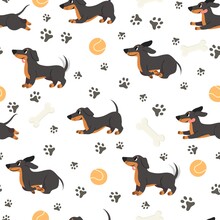 Puppy Dog Pattern Backing Paper Free Stock Photo - Public Domain Pictures