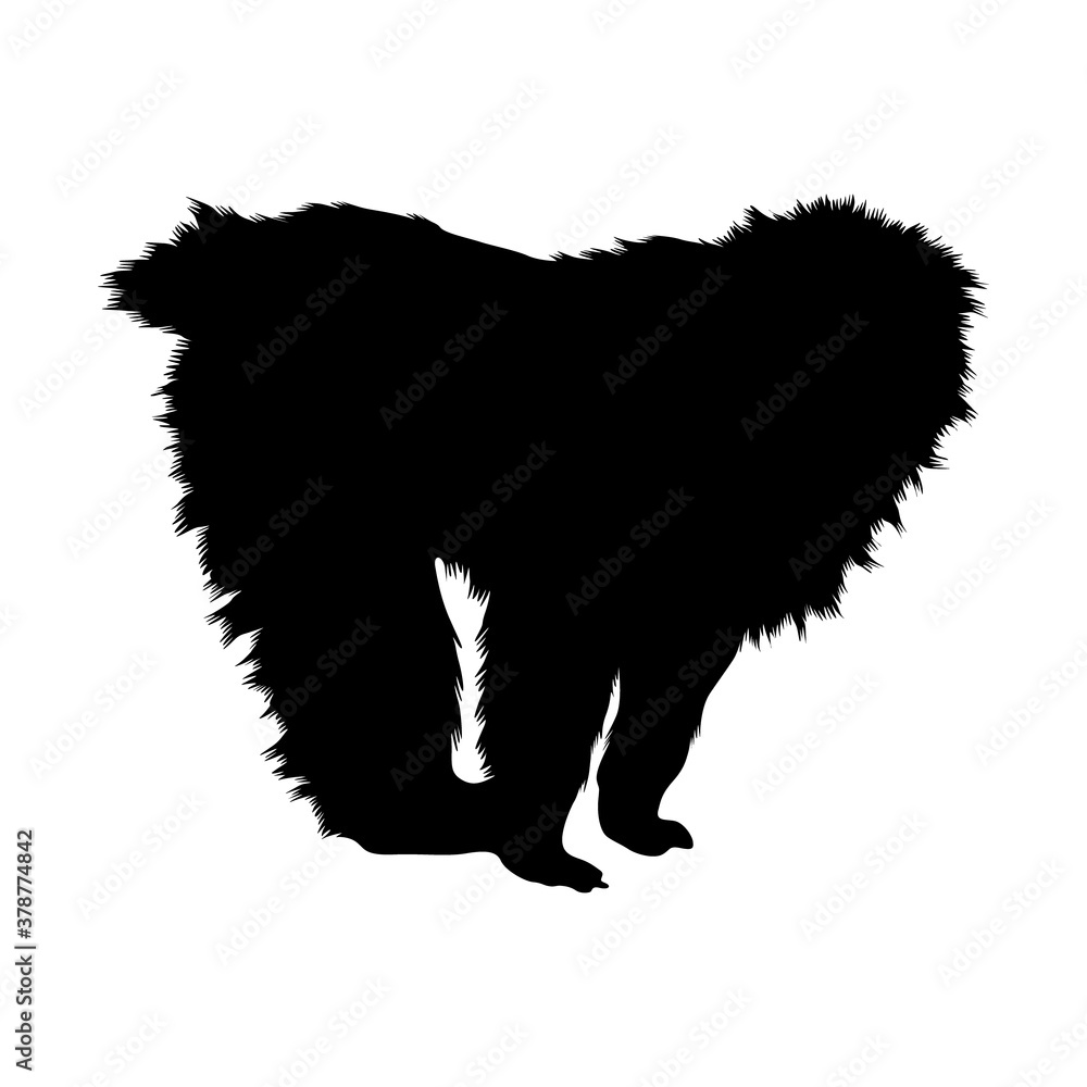 Standing Japanese Macaque (Macaca fuscata) On a Side View Silhouette ...