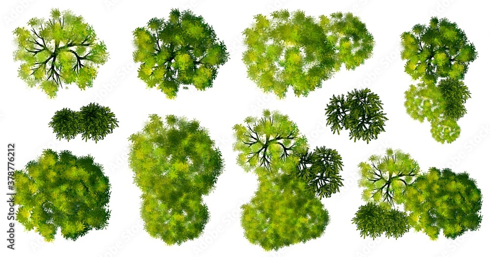Collection of abstract watercolor green tree top view isolated on white ...