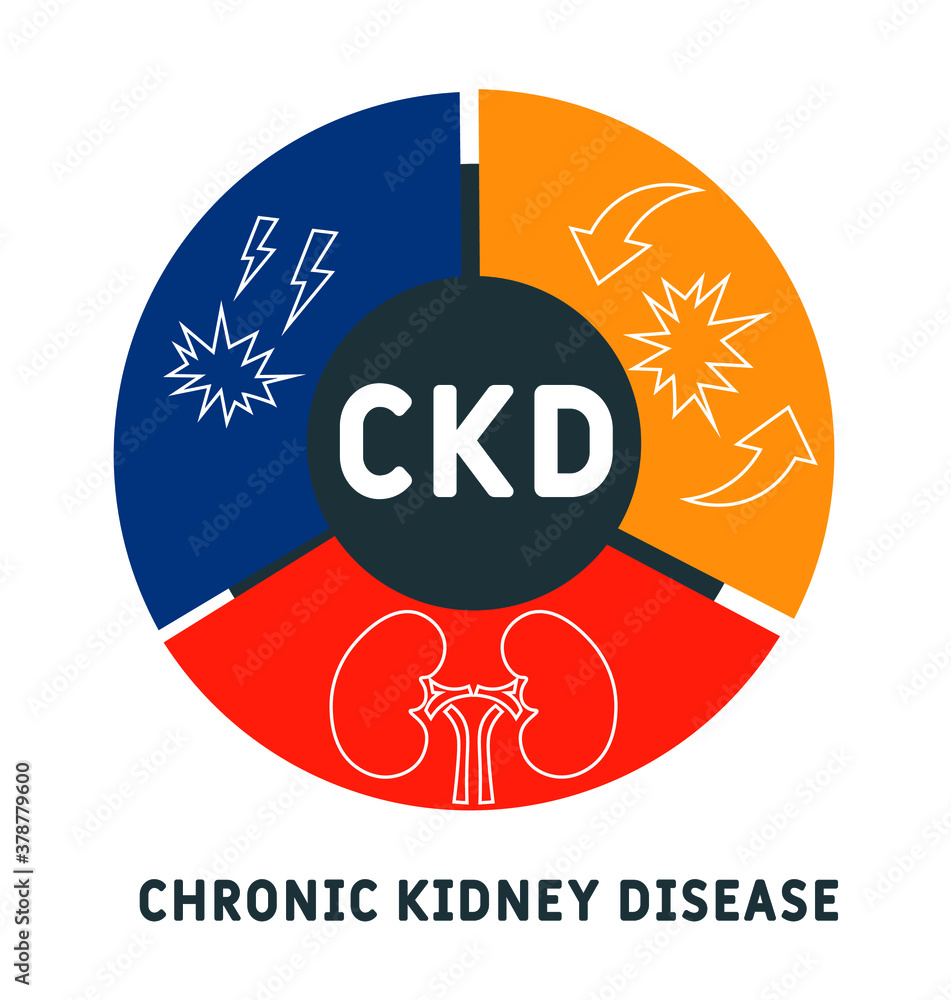 CKD - Chronic Kidney Disease acronym, medical concept background ...