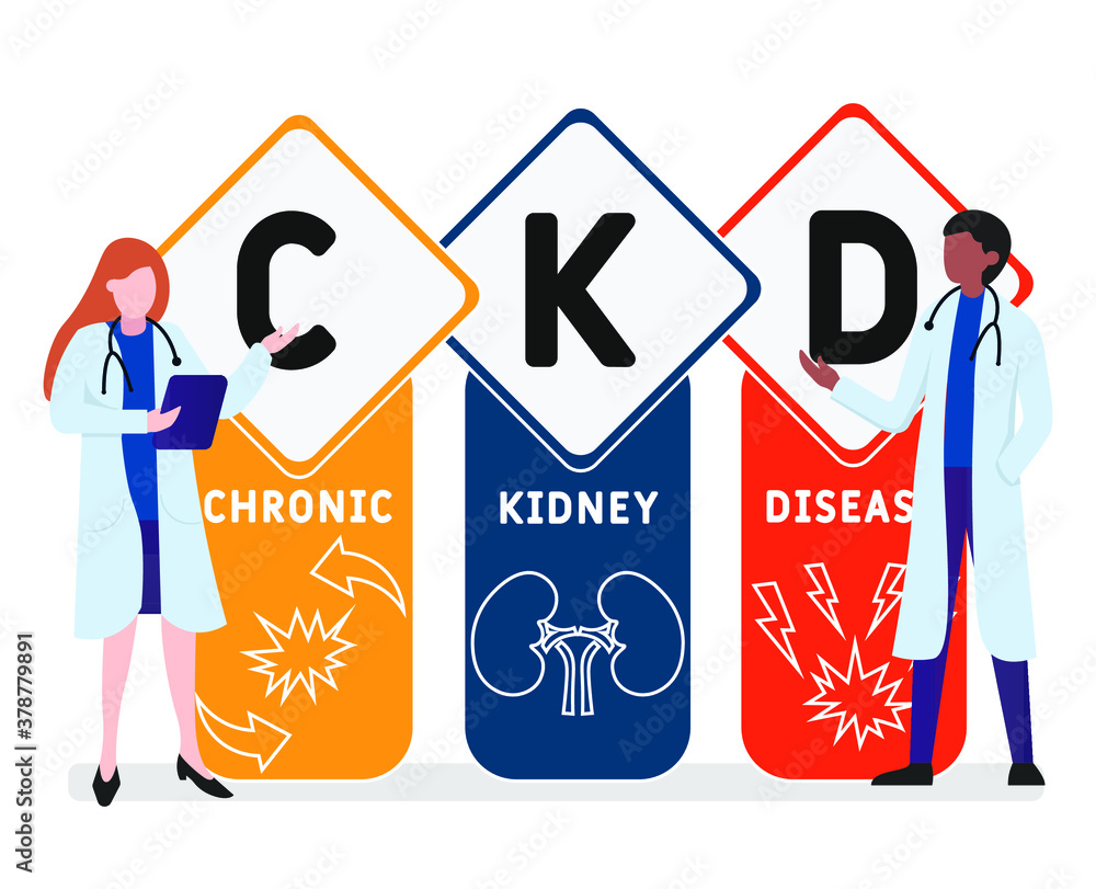 Flat design with people. CKD - Chronic Kidney Disease acronym, medical ...