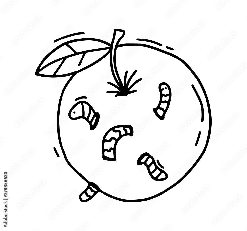 Outline Apple Worm a hand drawn cartoon vector illustration of an apple ...