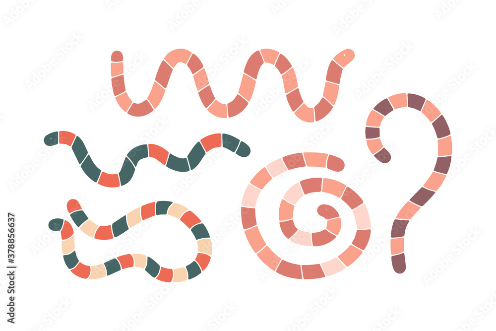 Set of cute hand drawn cartoon worms in different poses isolated on ...