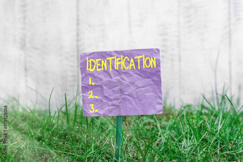 Conceptual hand writing showing Identification. Concept meaning proving ...