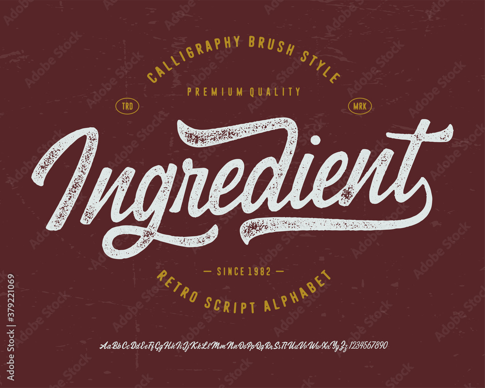 CALLIGRAPHY SCRIPT FONT- INGREDIENT. VECTOR TYPEFACE Stock Vector ...