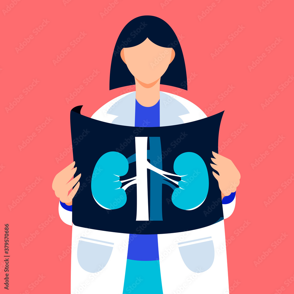 Doctor holding kidney xray vector illustration. Medical checkup banner ...