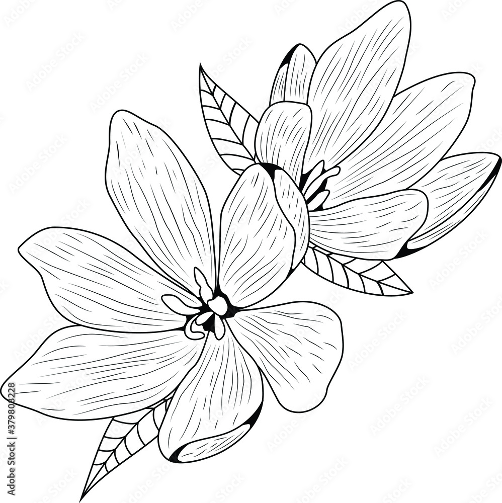 Vector Illustration Anti Stress Coloring Book Page Line Art Doodle ...