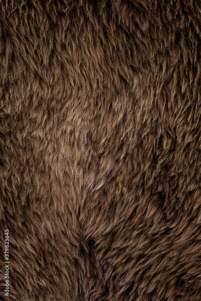 Fuzzy texture Stock Photo | Adobe Stock