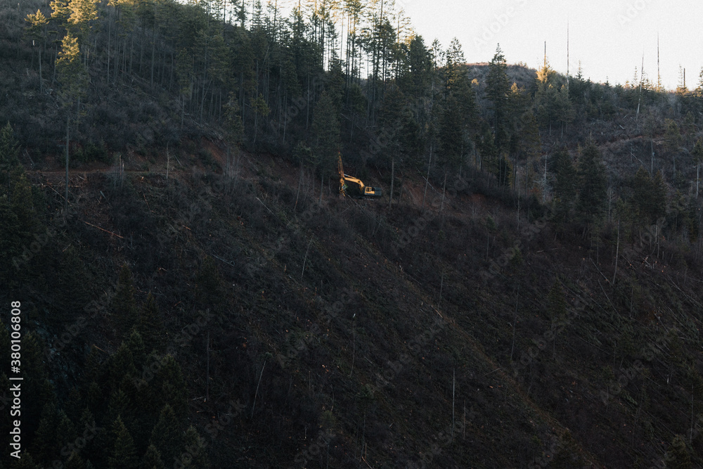 Logging machinery on a steep mountain hillside. Stock Photo | Adobe Stock