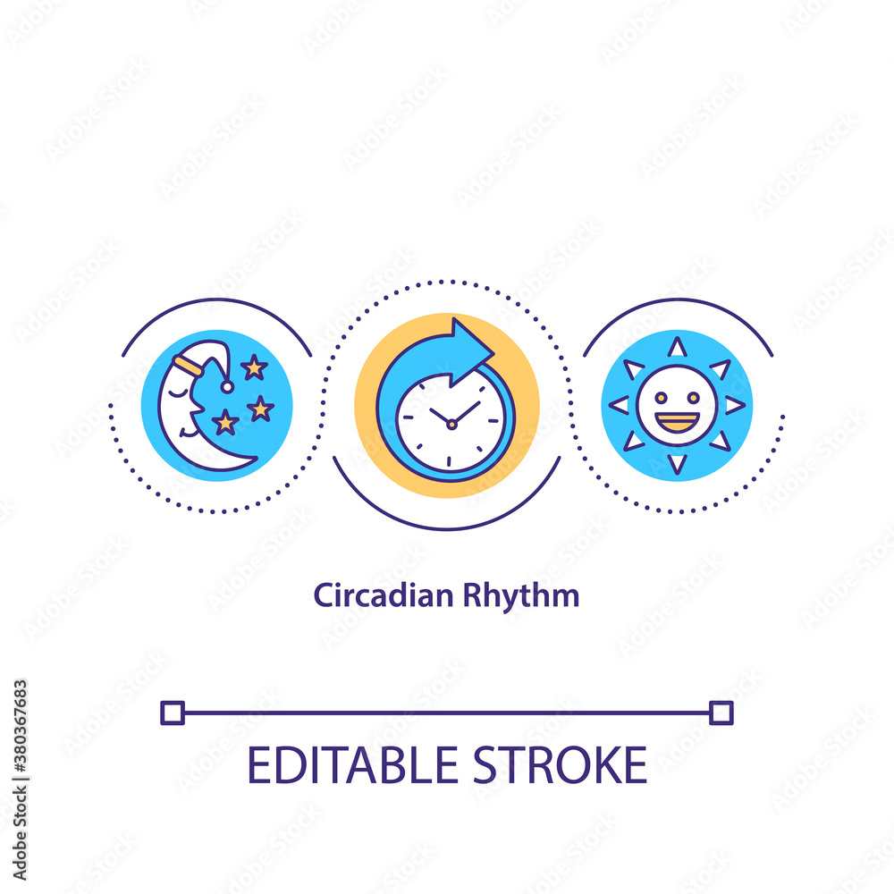 Vector de Stock Circadian rhythm concept icon. Daily wake and sleep ...