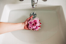 Watercolor Wash Flowers Free Stock Photo - Public Domain Pictures