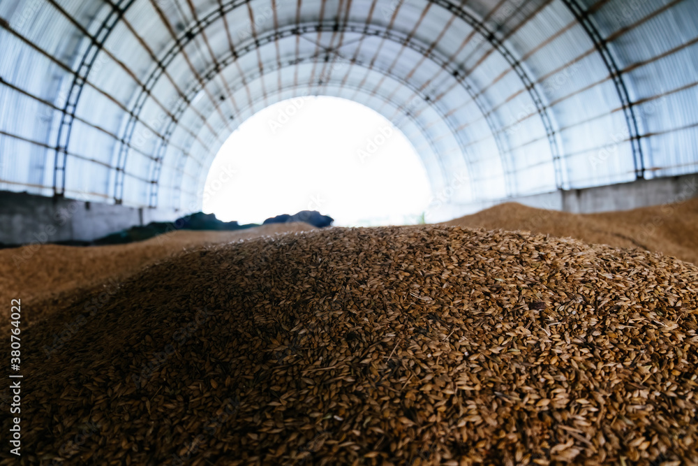 Wheat grain storage in the arched hangar Stock Photo | Adobe Stock