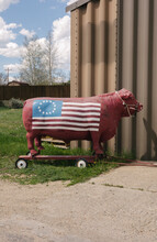 Americana Cow Flag Free Stock Photo - Public Domain Pictures