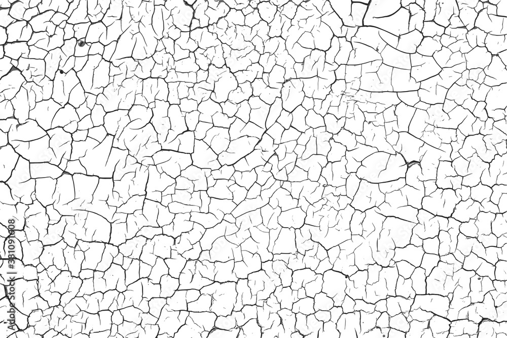 Image vectorielle Stock Crackle paint overlay. Vector black and white ...