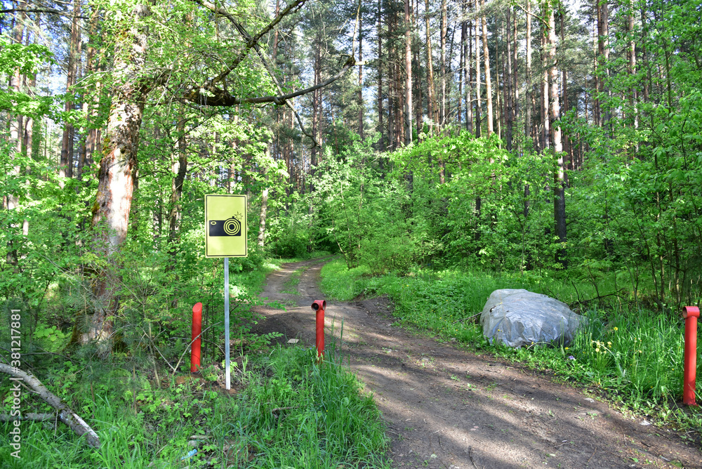 Banner with a camera at the entrance to the forest. Sign that video ...