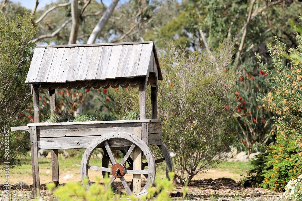 Home made wooden garden cart in Australian native bush garden Stock ...