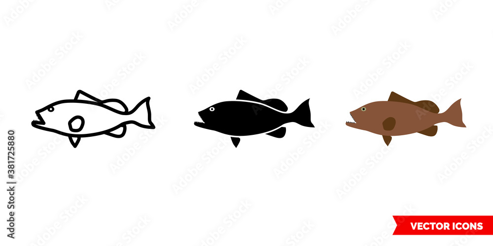 Red grouper fish icon of 3 types color, black and white, outline ...