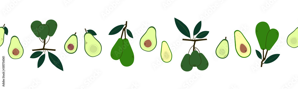 Modern seamless border with avocado. Set of vector fruit isolated on ...