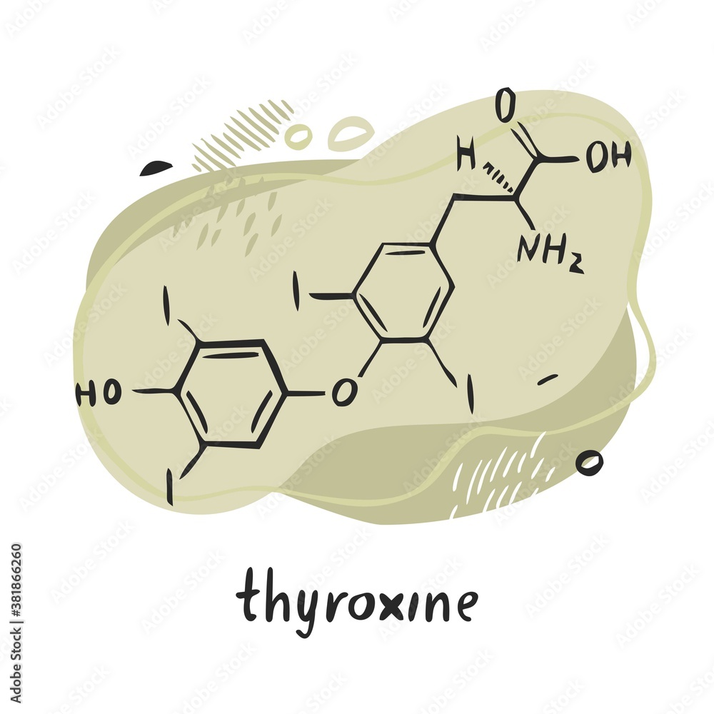 Thyroxine formula. Form of thyroid hormone hand drawn by line on the ...