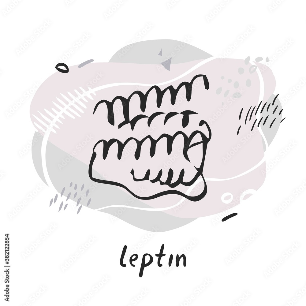 Leptin formula. Peptide hormone hand drawn by line on the background of ...