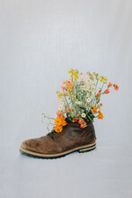 Boot And Flowers Free Stock Photo - Public Domain Pictures