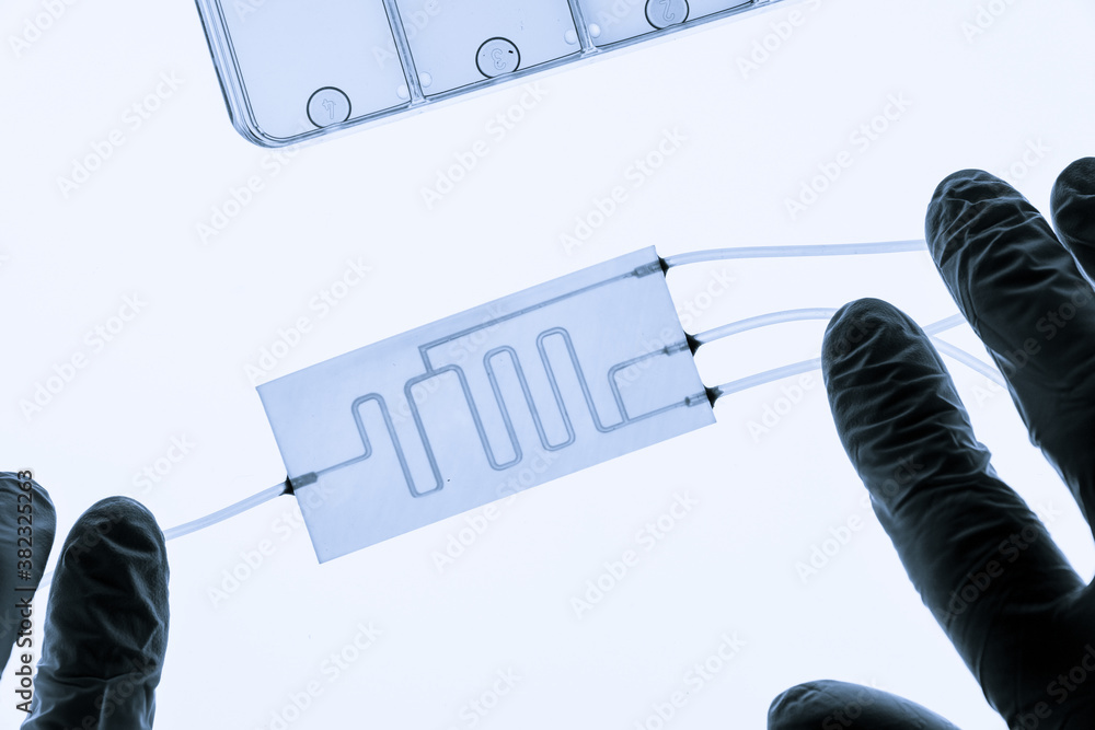 Photo Stock Organ on chip OOC and lab on chip LOC - microfluidic device ...