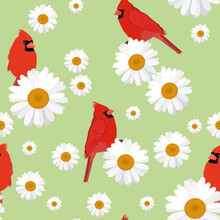 Cardinal Birds, Daisy Flowers Free Stock Photo - Public Domain Pictures
