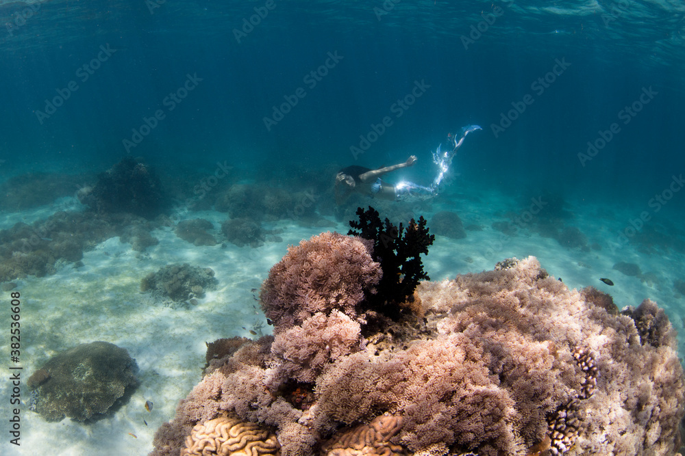 Female mermaid swimming underwater Stock Photo | Adobe Stock