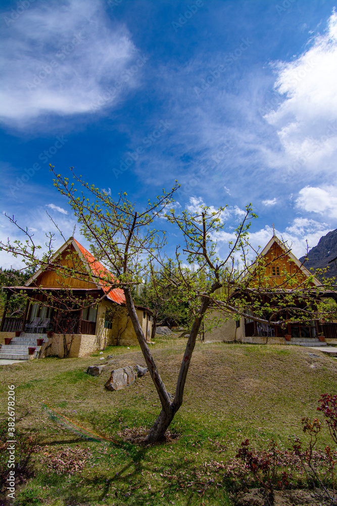 spring landscape photos of cherry blossom ,apricot blossom and spring ...