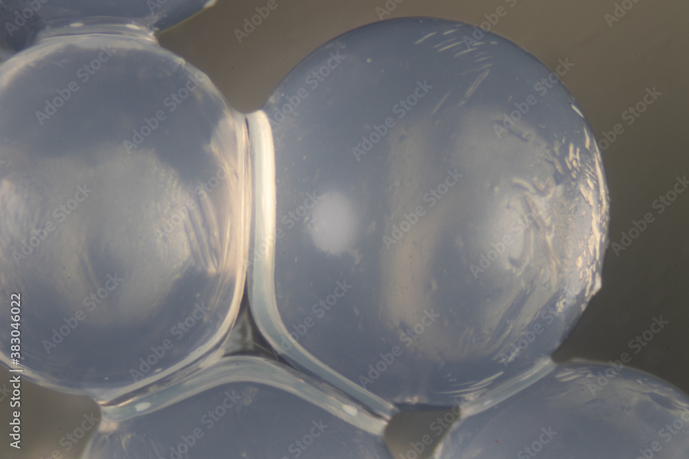 Sodium alginate is a cell wall component of marine brown algae for ...