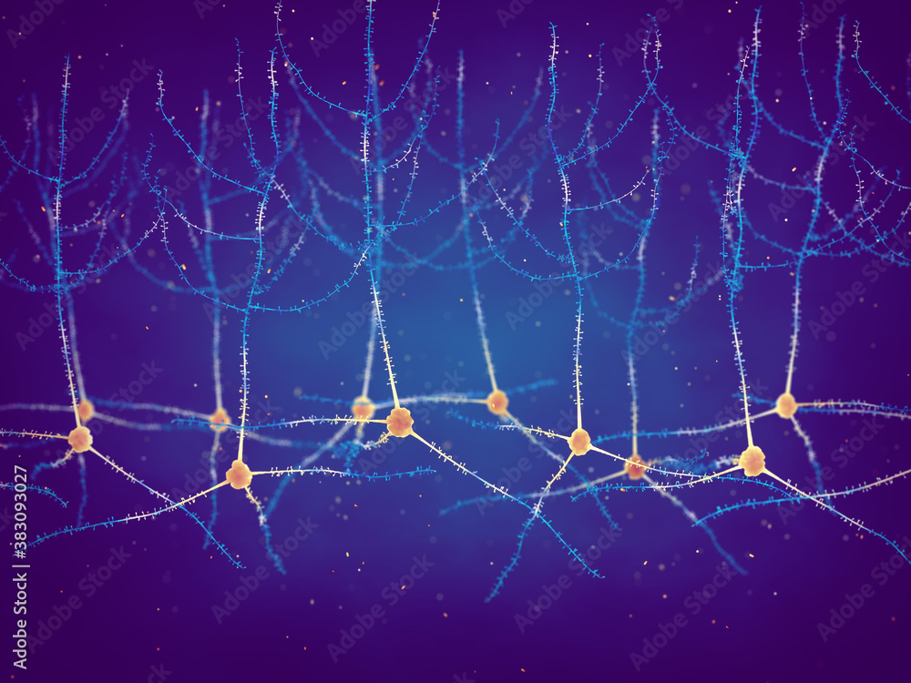 Pyramidal neurons, also known as pyramidal cells, are found in the ...