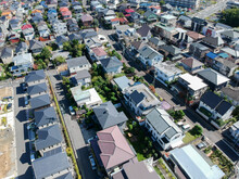 Duplicate Of Bird In Flight Free Stock Photo - Public Domain Pictures