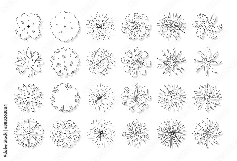 hand drawn vector set of top view tree isolated on white background ...