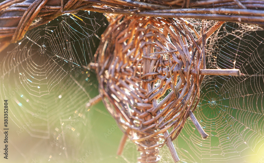 Cobweb or spider web Around the pattern in the form of a circle of ...