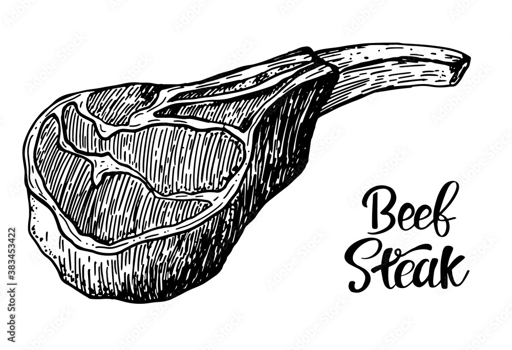 Beef, pork or lamb Red meat hand drawn sketch. Engraved raw food ...
