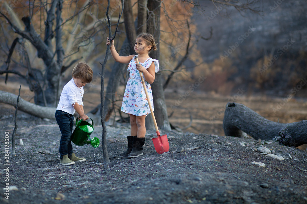 Kids are planting a tree after the wildfire in southern California ...