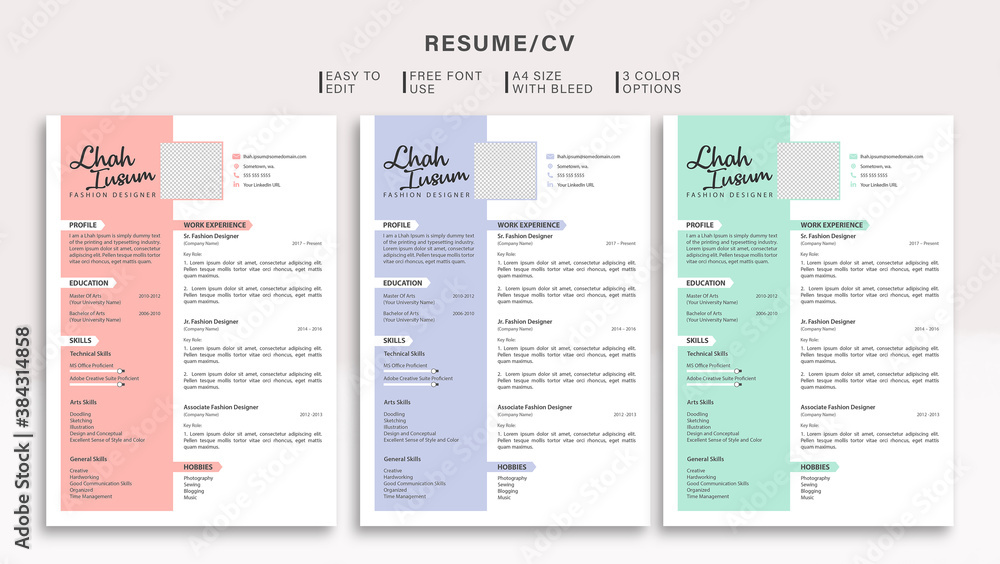 Modern Resume/CV Template with Colour Options Stock Vector | Adobe Stock