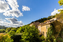 Picasso Forest Free Stock Photo - Public Domain Pictures