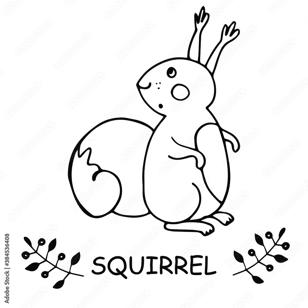 picture coloring with a squirrel and the word squirrel, hand drawn ...