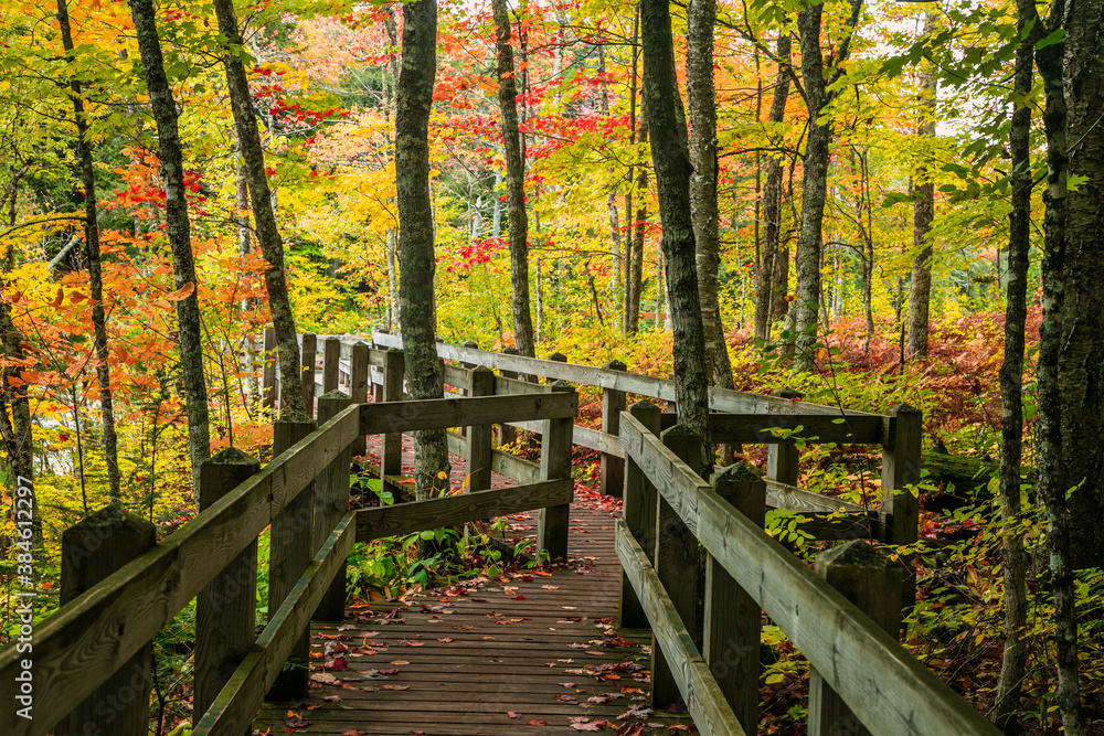 Scenic board walk in Presque Isle state park surrounded by fall foliage ...