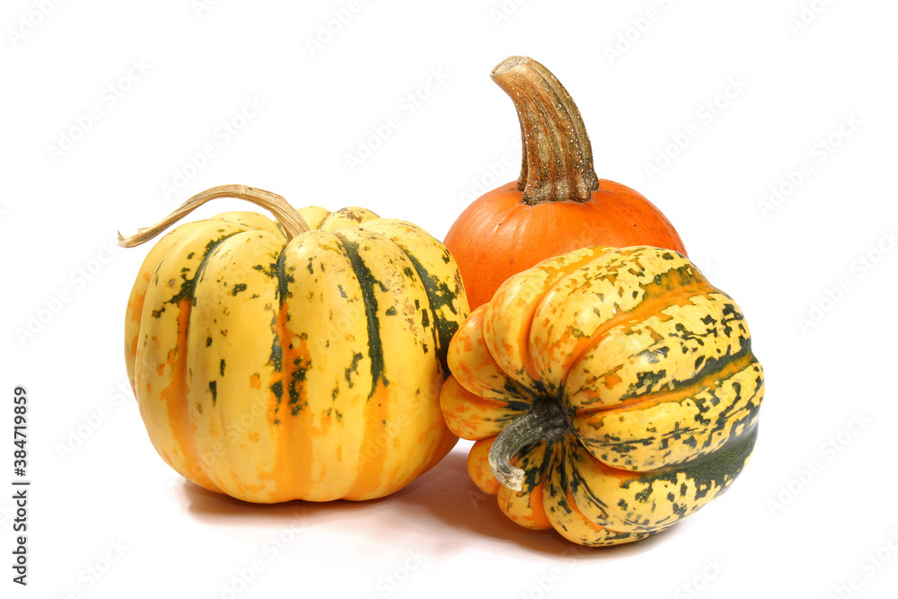 Photo Stock Coloquintes de différentes couleurs sur fond blanc | Adobe ...