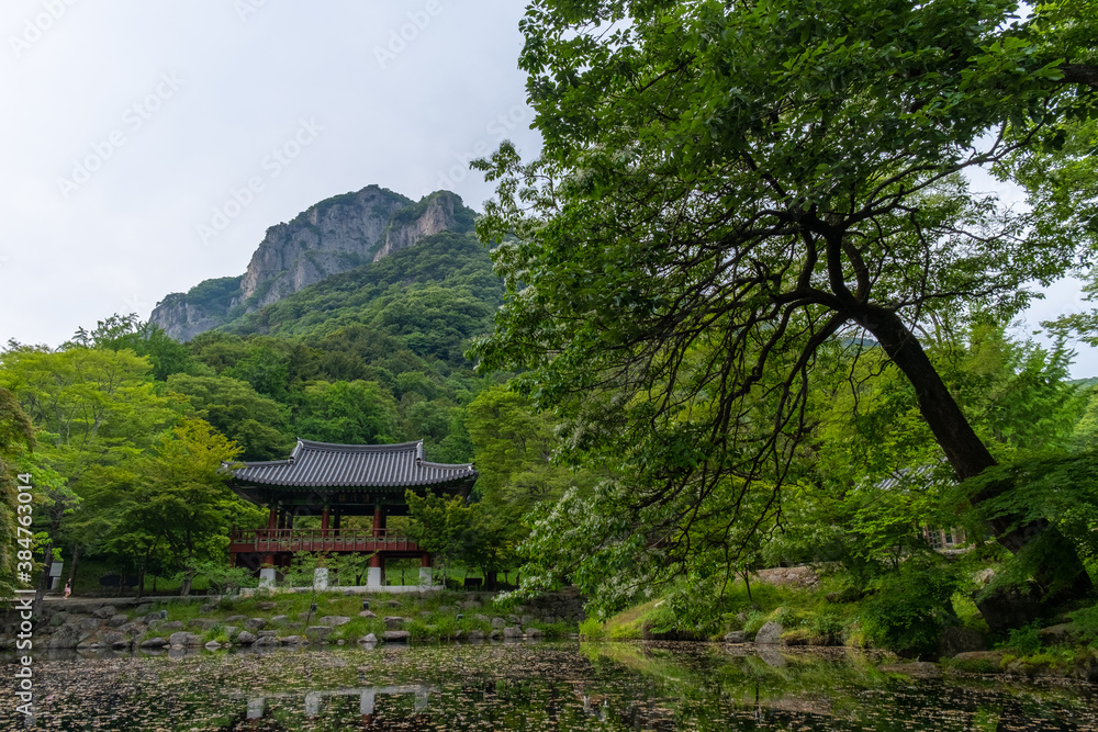 Stock-Foto „Baegyangsa Temple, located at the foot of Baegyangsan ...