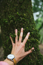 Child's Hand Touching Moss Free Stock Photo - Public Domain Pictures